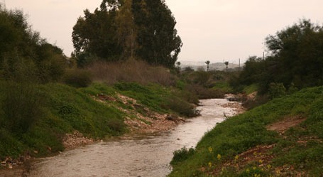 בית עריף - החברה הכלכלית חבל מודיעין